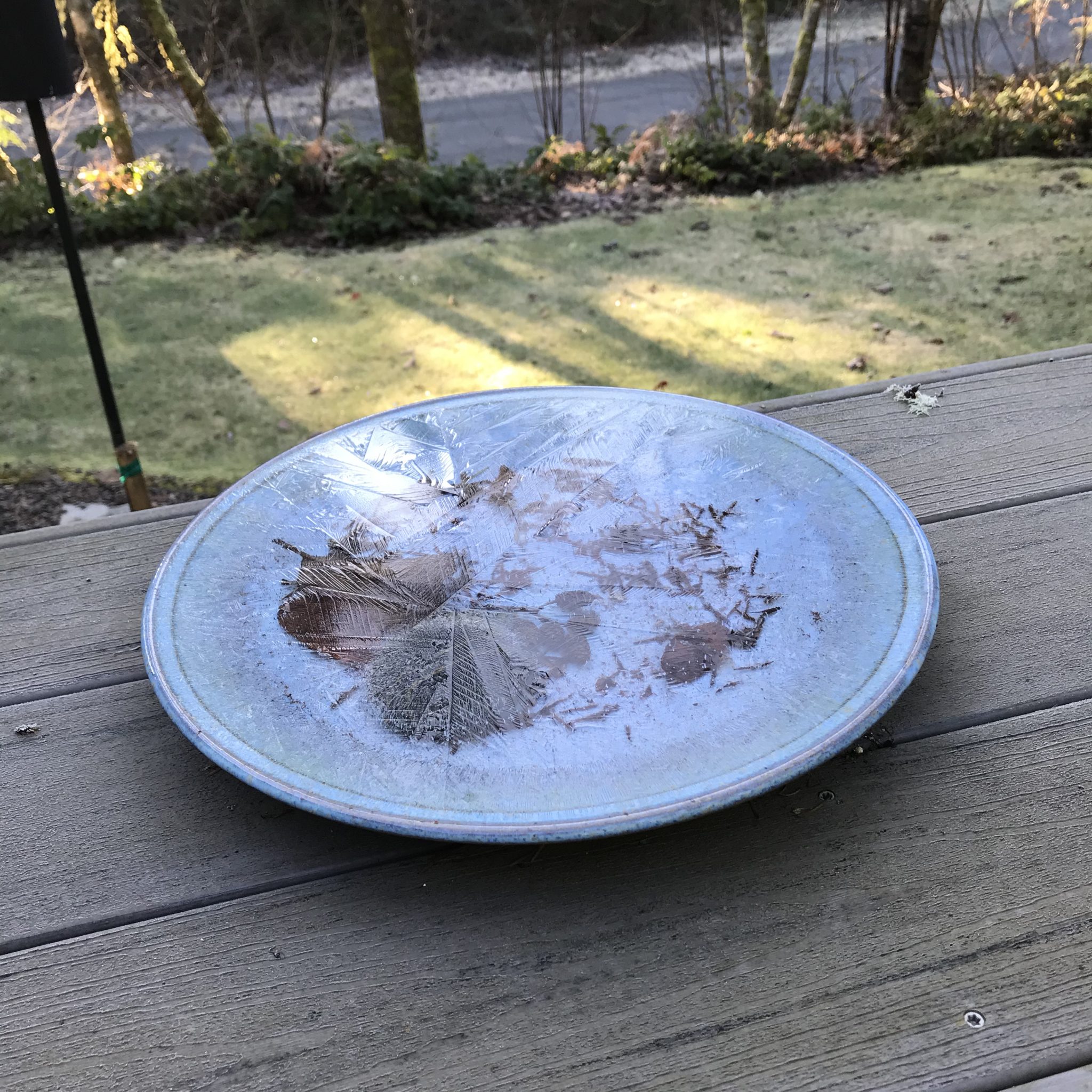 One Sunny Day, – Cynthia’s Blog